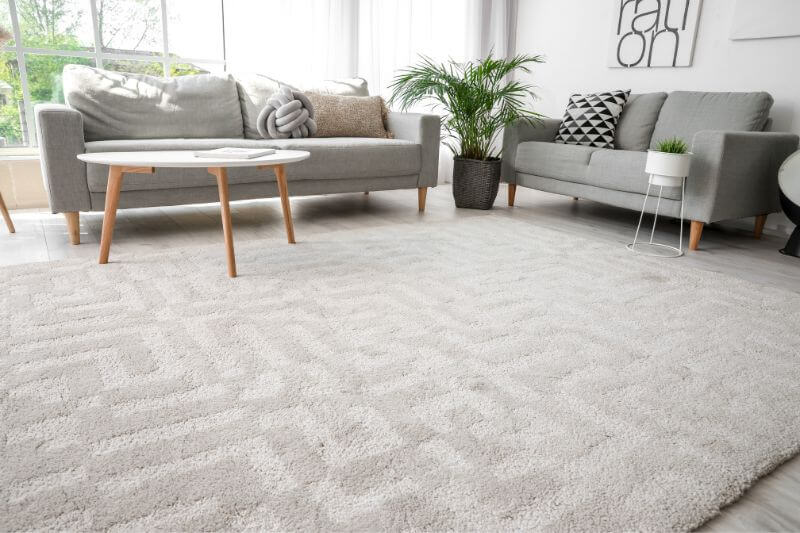 Tips for Keeping Your Carpets Clean in Summer - Ultra-Guard
