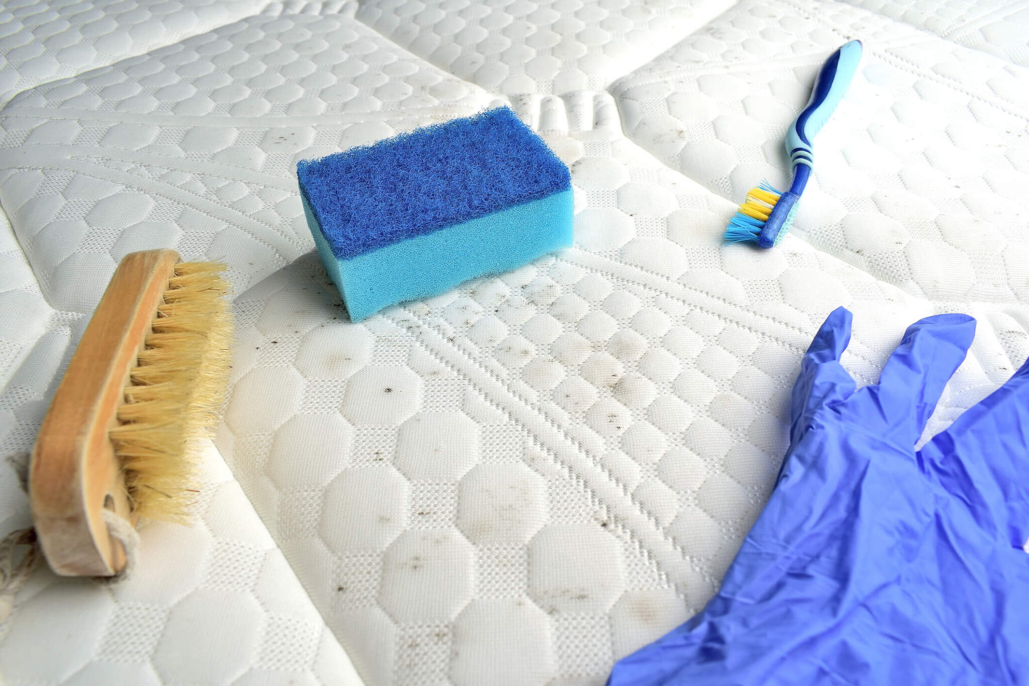 How to Remove Mold Stains From Fabric - Fabric Protection Ultra-Guard